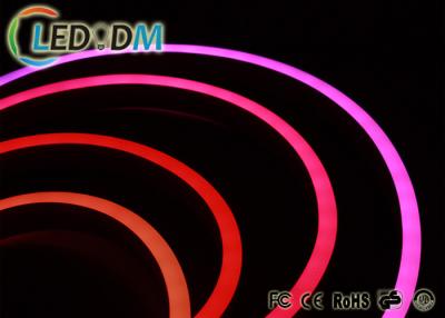 China 24V Custom Flexible LED Neon Light , Holiday Party Waterproof RGB Neon Rope Light for sale