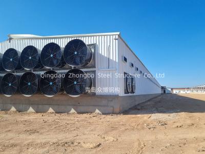China Discount Africa Commercial Steel Poultry House Chicken Farm Building for sale
