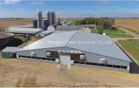 Quality Storage capacity enhanced High Intensity Steel warehouse for sale