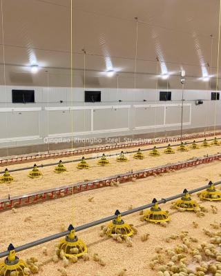China Durable Prefabricated Steel Structure Poultry House with Customizable Design and Easy Installation for sale