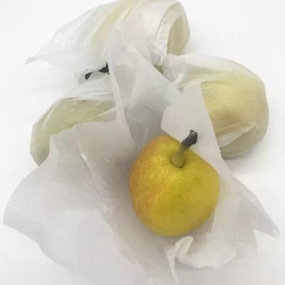 Cina Imballaggio impermeabile degradabile del tessuto di carta da imballaggio della frutta del commestibile in vendita