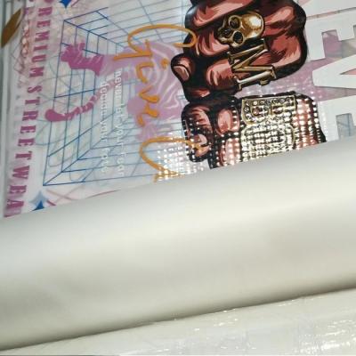 Cina Film di trasferimento dell'ANIMALE DOMESTICO DTF variopinto luminoso di stabilità del colore di 100m x di 60cm in vendita