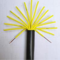 China Multi Conductor And Versatile Control Cable For Automation And Instrumentation for sale