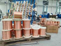 China Single Solid Copper Conductor PVC Insulation Cable for Fire Resistant Electrical Wire for sale
