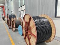 China Pure Copper Conductor XLPE Insulation Electrical Cable for Low Voltage Applications for sale