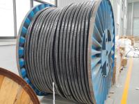 China Pure Copper Conductor XLPE Insulation Electrical Cable for Low Voltage Applications for sale