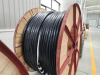 China Pure Copper Conductor XLPE Insulation Electrical Cable for Low Voltage Applications for sale