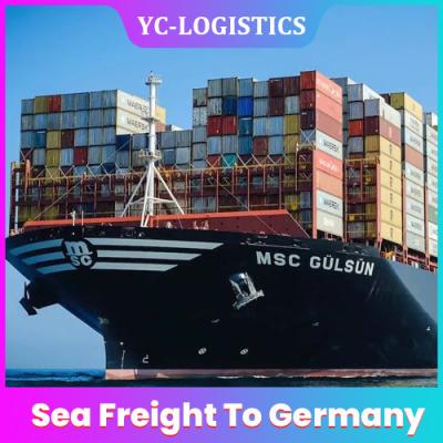 Cina Shipping From China To Slovakia Europe DDP Freight Forwarder Prefessional in vendita