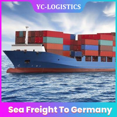 Cina Shipping From China To Slovakia Europe DDP Freight Forwarder Prefessional in vendita