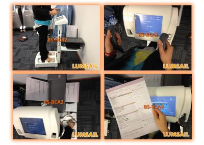 China Fat Monitoring / Body Composition Analyzer Machine , Body Fat Percentage Measurement Device for sale