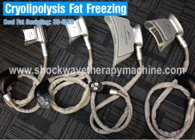 China Safety Cryolipolysis Fat Loss Machines , Fat Freezing Body Contouring Machine for sale