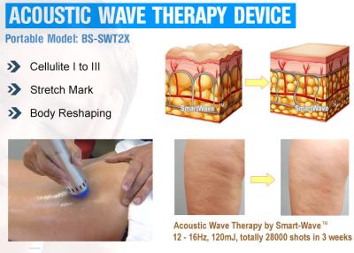 Cina 22 Hz Acoustic Wave Shockwave Therapy Equipment For Pain Relief / Improve Blood Circulation in vendita