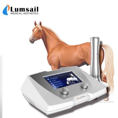 Veterinary Treat Equine Shockwave Machine For Superficial Orthopedic Disorders