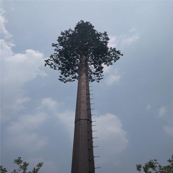 Quality Custom Bionic Tree Tower, Scenic Area Beautification Communication Tower, Hidden for sale