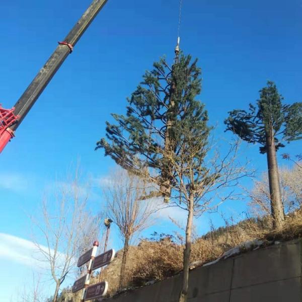 Quality Custom Bionic Tree Tower, Scenic Area Beautification Communication Tower, Hidden for sale