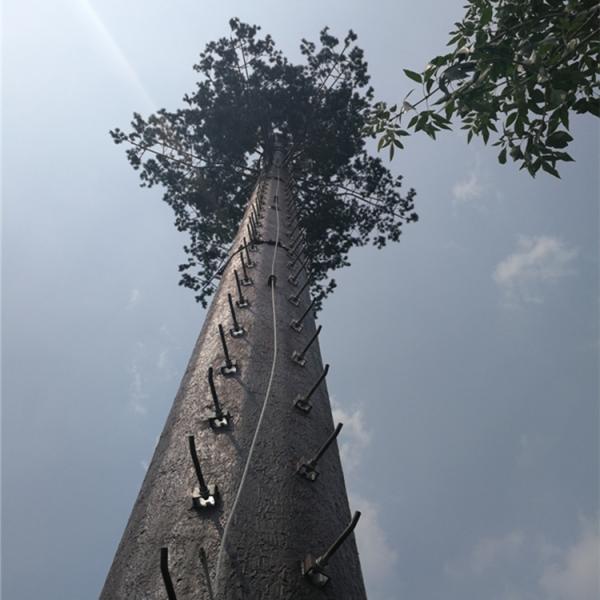 Quality Custom Bionic Tree Tower, Scenic Area Beautification Communication Tower, Hidden for sale