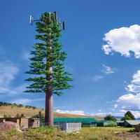 Quality Customized 10m-60m Bionic Pine Tree Tower, Camouflage Communication Steel for sale