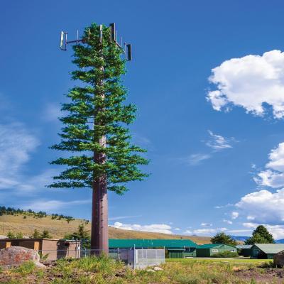 China Customized 10m-60m Bionic Pine Tree Tower, Camouflage Communication Steel Monopole for Scenic Spot for sale
