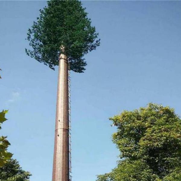 Quality Bionic Tree Tower Communication Tower With Hot Dip Galvanized Steel Realistic for sale