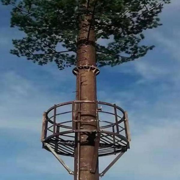 Quality Bionic Tree Tower Communication Tower With Hot Dip Galvanized Steel Realistic for sale