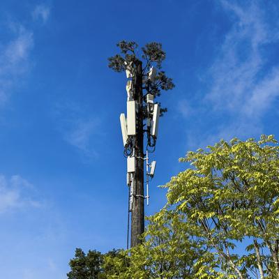 China Realistic Bionic Tree Tower with customizable height and high strength corrosion resistant steel combining communication and landscape aesthetics for sale