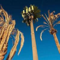 Quality Multi-Antenna Concealment Bionic Tree Tower Camouflage Solution for 4G/5G for sale