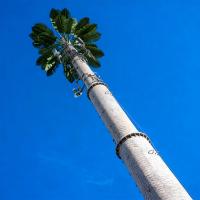 Quality Bionic Tree Single-pole Camouflage Tower Hot-dip Galvanized Steel Pipe Telecom for sale