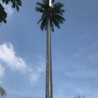 Quality Customizable height Bionic Tree Tower with wind resistant steel structure and for sale