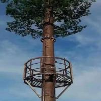 China Durable Bionic Tree Tower with hot dip galvanized surface treatment and customizable height designed for communication and landscape harmony for sale