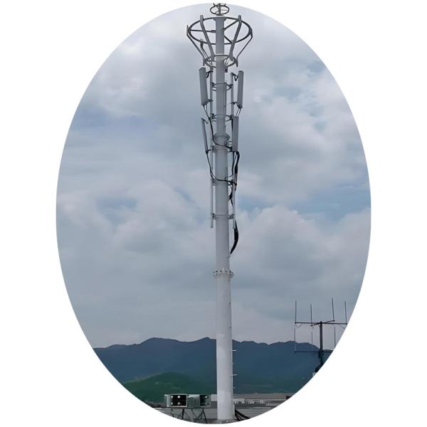 Quality Monopole Tower Single Pole Tower with Hot Dip Galvanized Coating and Multiple Connection Types for Communication Support for sale