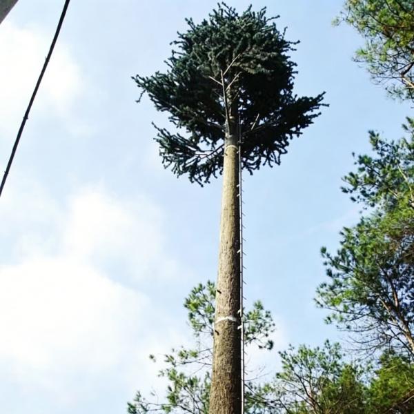 Quality Hot dip galvanized Bionic Tree Tower with lifespans exceeding 30 years providing for sale