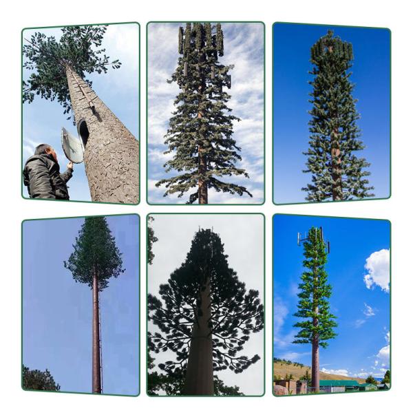 Quality Hot dip galvanized Bionic Tree Tower with lifespans exceeding 30 years providing for sale