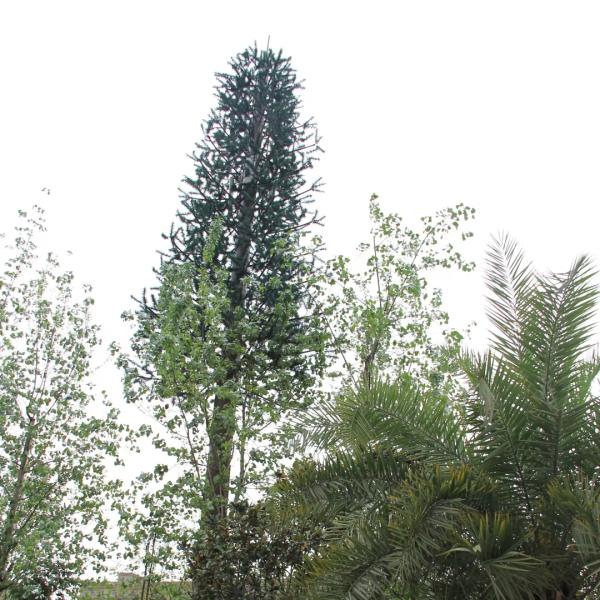 Quality Steel Structure Advanced Bionic Tree Tower Hot Dip Galvanized Manual Customizabl for sale