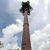 Quality Customizable height Bionic Tree Tower featuring high strength steel and hot dip for sale