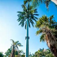 Quality Bionic Tree Tower with customizable height and realistic tree shapes made from for sale