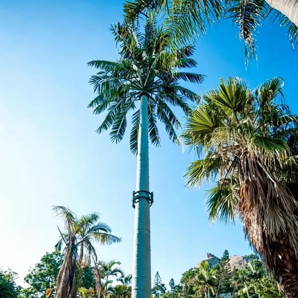 Quality Bionic Tree Tower with customizable height and realistic tree shapes made from steel and hot dip galvanized for enhanced durability for sale