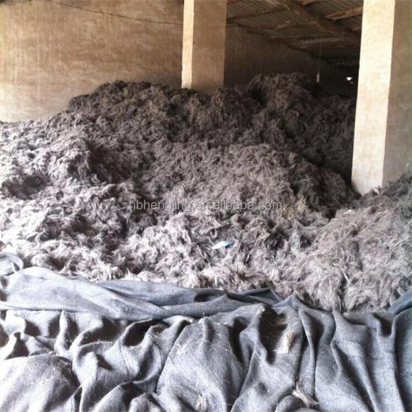 Quality Scoured Chinese Clipped Goat Hair for sale