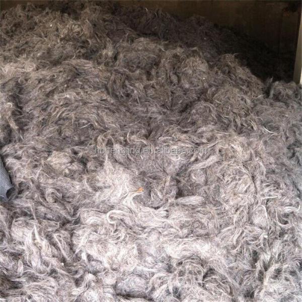 Quality Scoured Clipped Goat Hair Goat Wool for sale