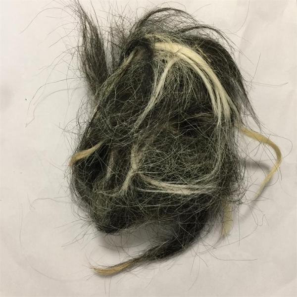 Quality Scoured Chinese Grey Clipped Goat Hair for sale