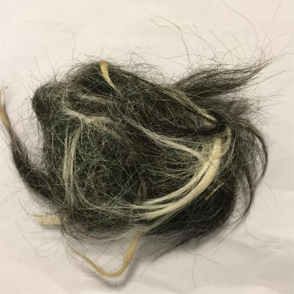 Quality Scoured Chinese Grey Clipped Goat Hair for sale