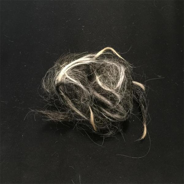 Quality Scoured Chinese Grey Clipped Goat Hair for sale
