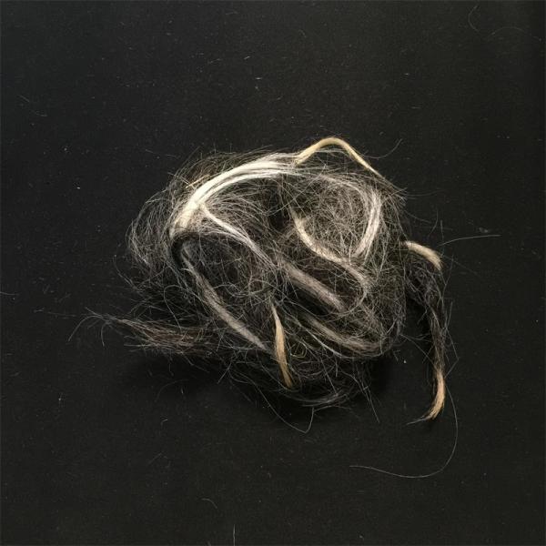 Quality Scoured Chinese Grey Clipped Goat Hair for sale