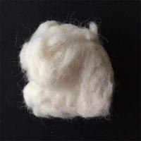 Quality Scoured White Finer Wool Waste for sale