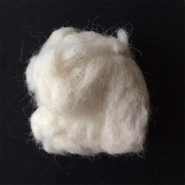 Quality Scoured White Finer Wool Waste for sale