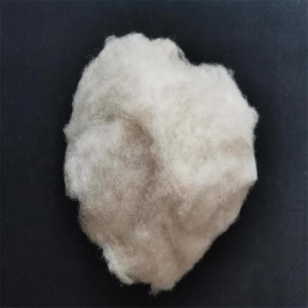 Quality Scoured Dehaired Wool Sheep Wool Cashmere for sale