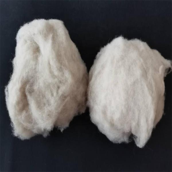 Quality Dehaired Cashmere Wool Fiber Raw Sheep Wool for sale