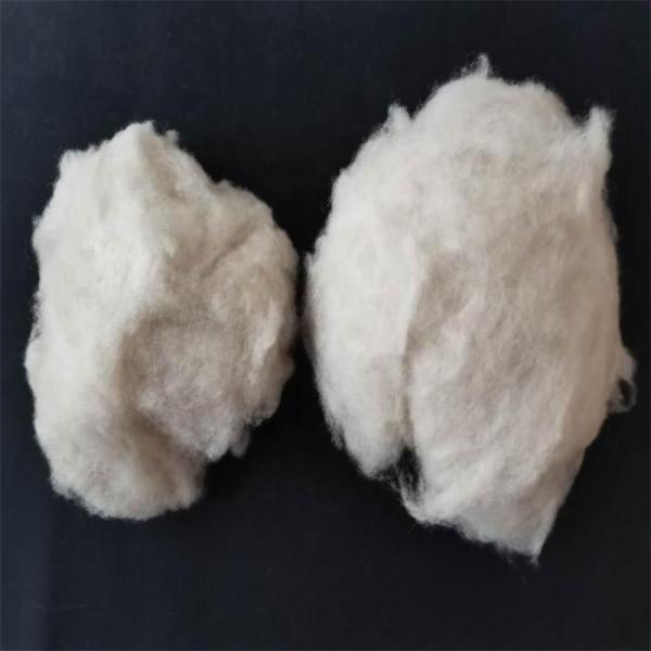 Quality Dehaired Cashmere Wool Fiber Raw Sheep Wool for sale