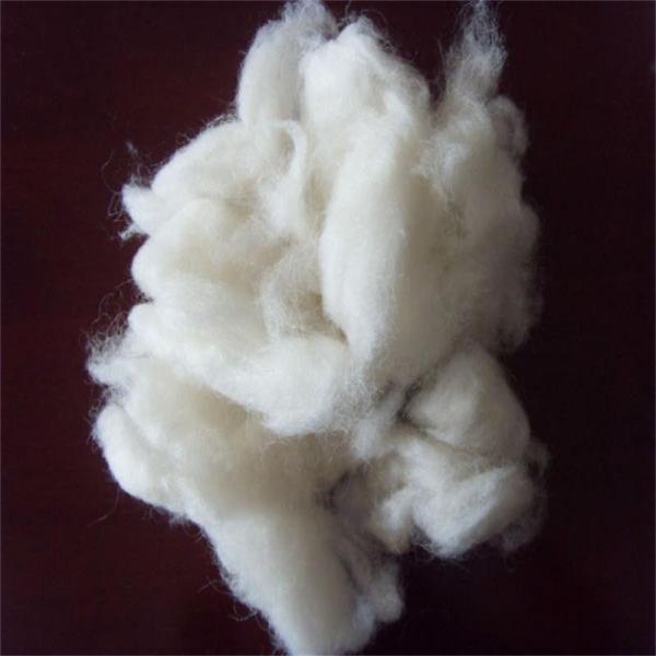Quality Wool Waste for sale