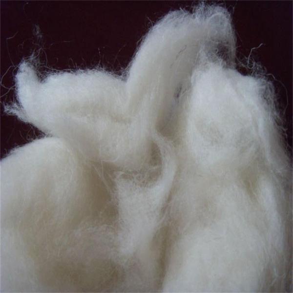 Quality Wool Waste for sale