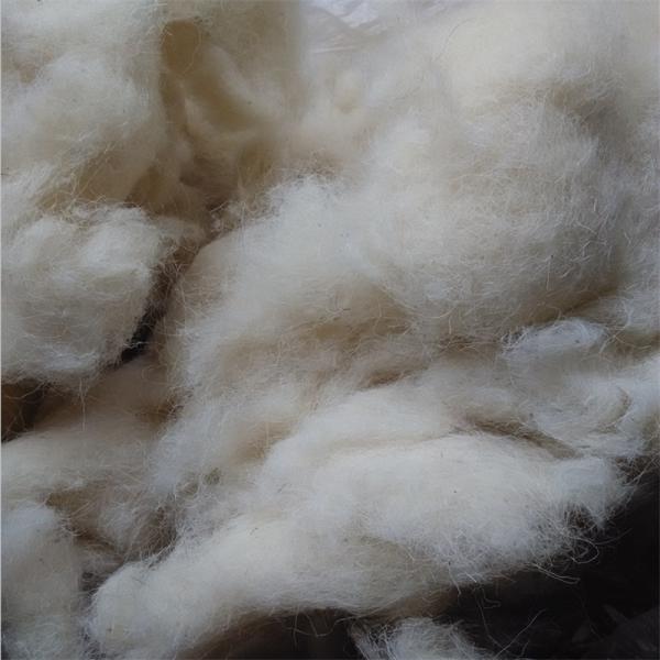 Quality Wool Waste for sale